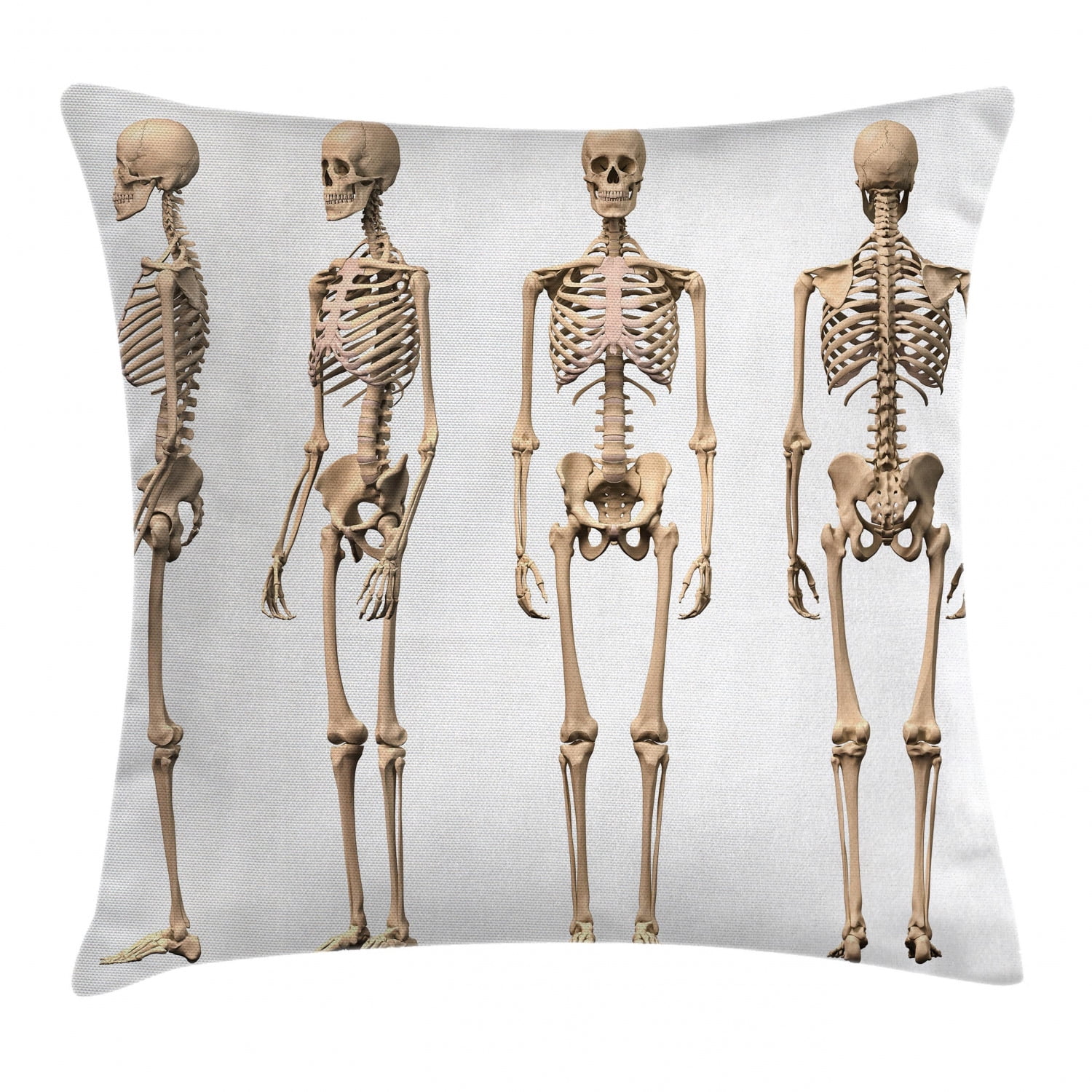 Human Anatomy Throw Pillow Cushion Cover, Man Male Human Skeleton Skull ...