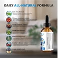 (3 Pack) Pineal Pure Drops, All-Natural Blood Support Supplement ...