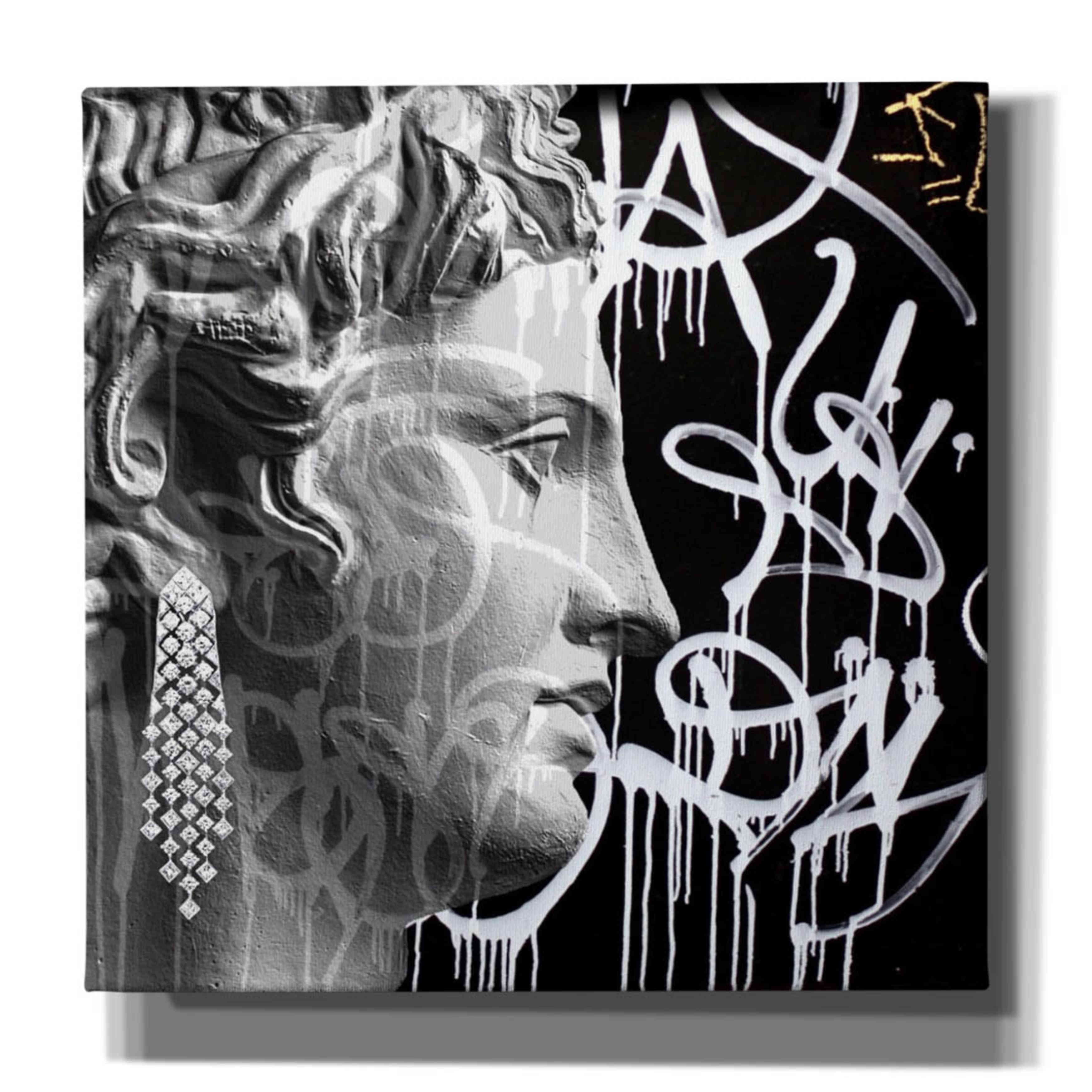 Epic Graffiti 'Graffiti Bust 2' by Karen Smith, Canvas Wall Art, 37"x37 ...