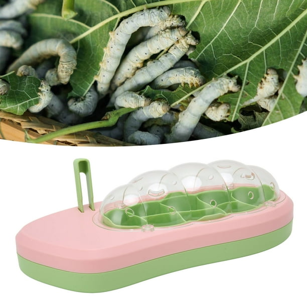 Silkworm Raising Box With Silkworm Observation Box Educational Raising Silkworms Breeding Space ...