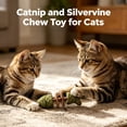 Catnip & Silvervine Chew, Natural Fish Bone Shape Dental Toy for Cat ...