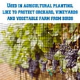 Sunrise 28'x28' Bird Net for Bird Poultry Aviary Black - Walmart.com