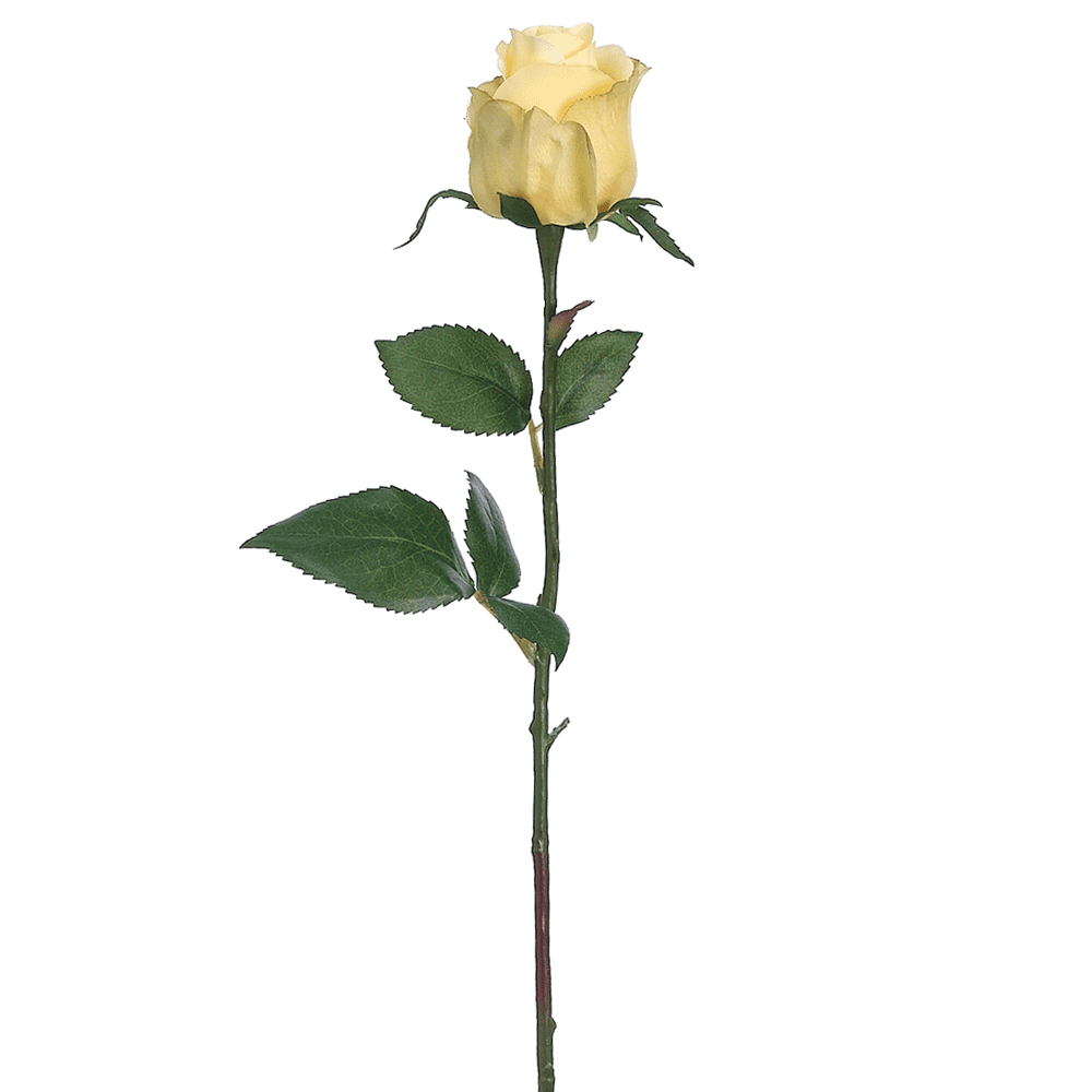 Park Place - 12 Piece Rose Bud Stem 17.5" Yellow - Walmart.com