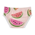 Cotton Triangle Briefs 2T-8Y, Comfortable Breathable Safety Standard ...