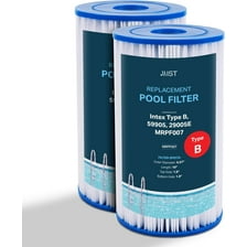 Intex 2-Pack Type B Pool Filter Replacement for 2500 GPH Pump, Above ...