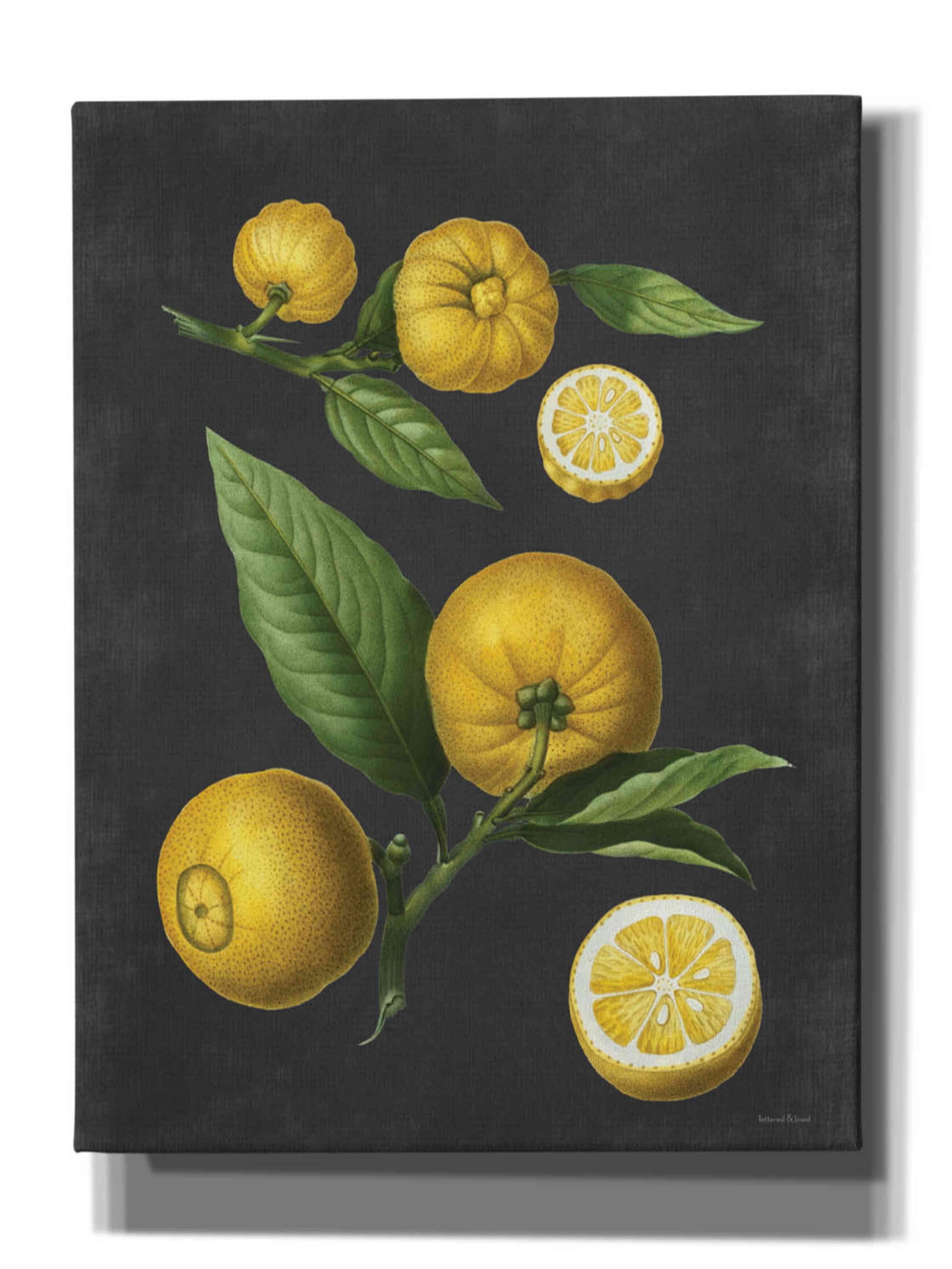 Epic Graffiti 'Lemon Citrus' by Lettered & Lined, Giclee Canvas Wall ...