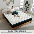 Kviwasha Queen Mattress 14 inch Memory Foam and Spring Hybrid Mattress ...