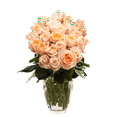 Two Dozen Peach Roses- Beautiful Fresh Cut Flowers- Express Delivery ...