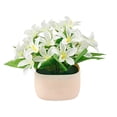 Artificial Flower Bouquet with Decorative Base Low Maintenance Desktop ...