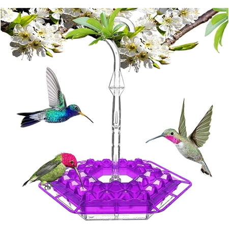 Hummingbird Feeder, Bird Water Dispenser Window with 30 Feeding Ports ...
