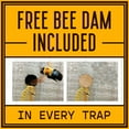 Bees N Things Outdoor Carpenter Bee Trap - Walmart.com