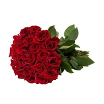 Red Roses Gift 40 cm - Fresh Cut Flowers - 24 Stems - by Bloomingmore ...