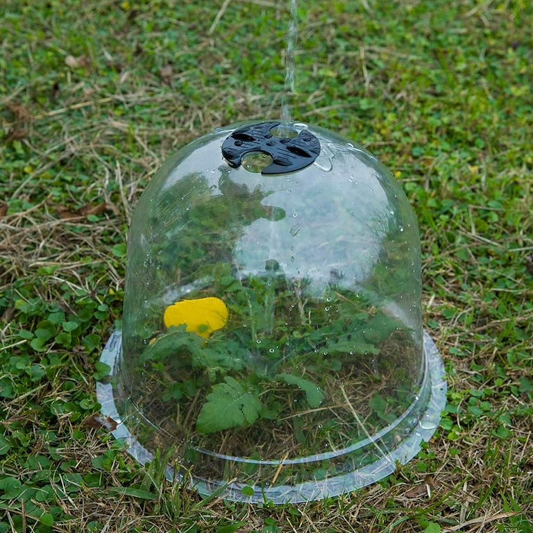Large Plastic Garden Cloche | Fasci Garden