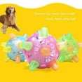 Sorrowso Interactive Dog Ball Toy with Light Music, LED Flashing ...