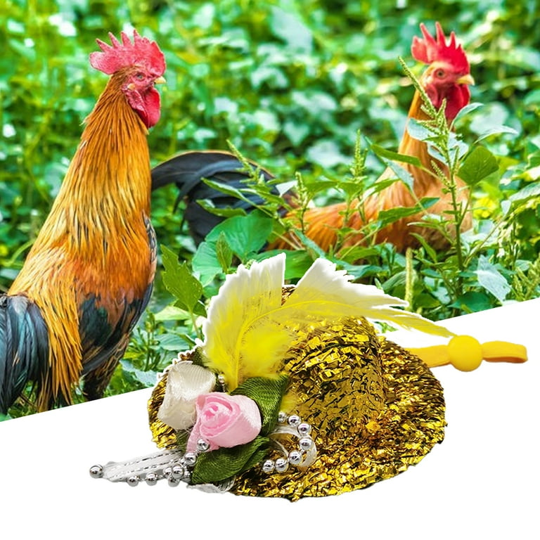 Decorative Roosters With Real Feathers | Shelly Lighting