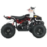 "X-Pro 40cc 4-Stroke Kids Mini Gas ATV with Pull Start, Disc Brake, 6 ...