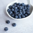 Fresh Blueberries, 18 oz Container - Walmart.com
