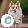 Automatic Retractable Dog Leash Extendable Pet With Escape Lock For ...