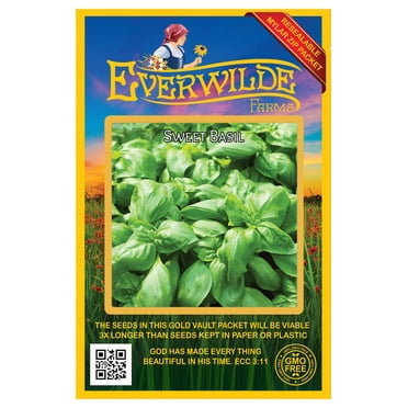 Herb Seeds -Basil Genovese -100 Garden Herb Seeds! Aromatic Dark Green ...
