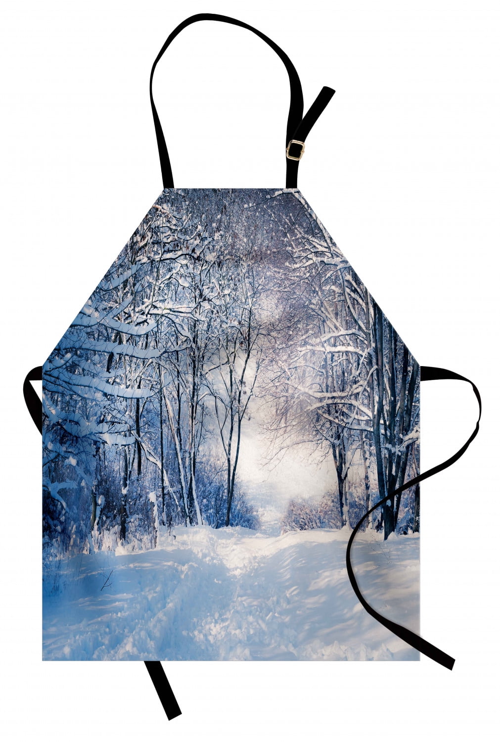 Winter Apron Alley in Snowy Forest Cold Freezing Weather Rural Nature ...