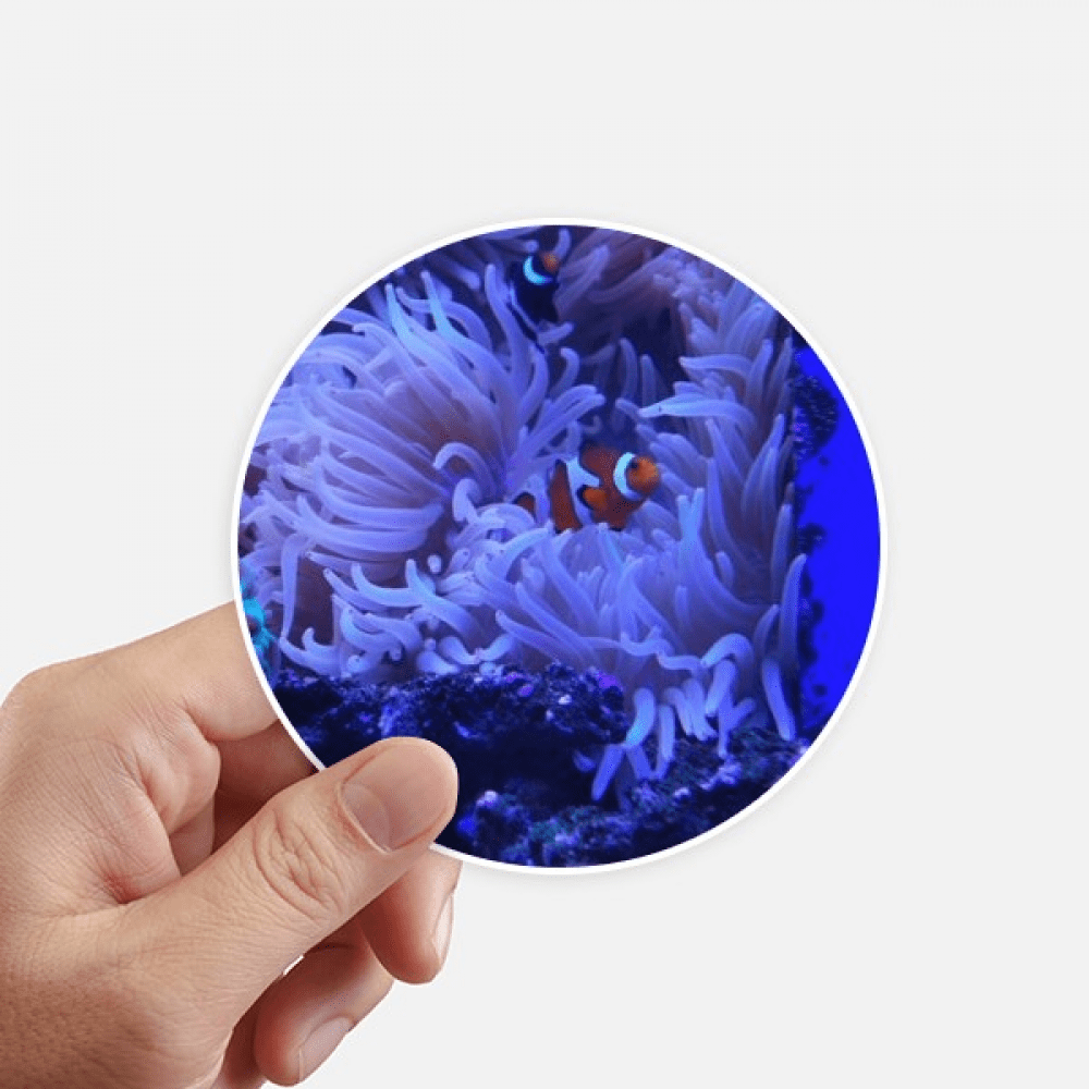 ocean anem fish science nature picture sticker round wall suitcase ...