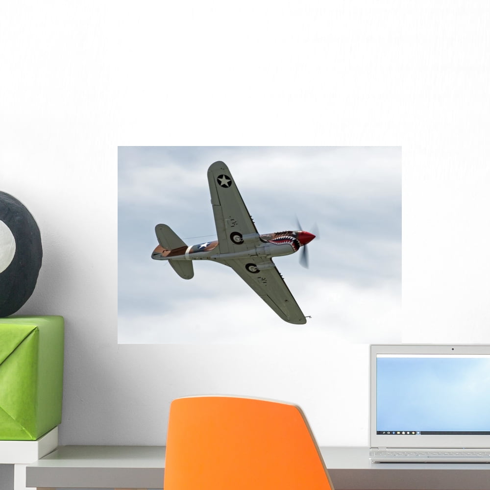 Wwii Fighter Airplane Wall Mural by Wallmonkeys Peel and Stick Graphic ...