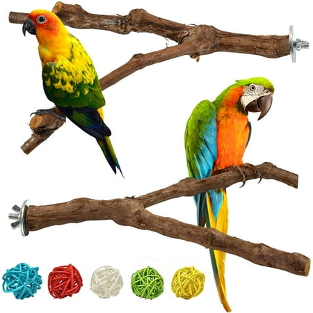 2 Pack Bird Perch Stands Parrot Stand Pole Natural Grapevine Stick ...
