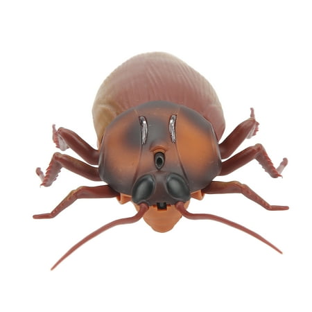 Electric Cockroach Toy, Odor Free Vivid Details Battery Powered ...