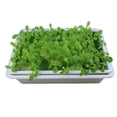 Dualoai 2PCS Plant Growing Trays (No Drain Holes) --Garden Seed Starter ...