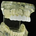 Men's White Teeth Grillz Top 6 Teeth Bright Smile Pre-Made Instant ...