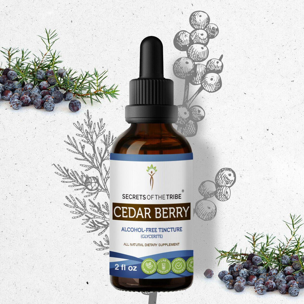 Cedar Berry Tincture Alcohol-FREE Extract, Wildcrafted Cedar Berry ...
