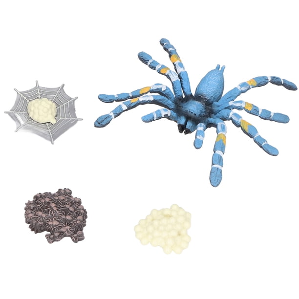 Life Cycle Figurines, Vinyl Material Lifelike Growth Cycle Model Cute ...