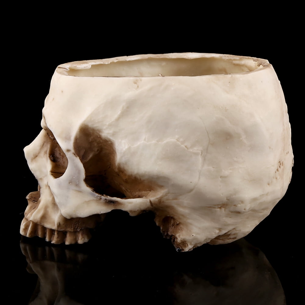 Click here for Youthink Skull Plant Pot  Home Decor Goth Skull Po... prices