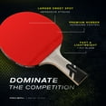 PRO-SPIN Ping Pong Paddle with Carbon Fiber, Performance-Level Table ...
