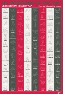 Poster - Positions of The Day - 101 Positions Wall Art Licensed Gifts ...
