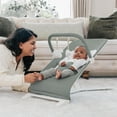 Baby Delight Alpine Deluxe Portable Infant Baby Bouncer, Organic Sage ...
