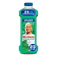 Mr. Clean 45oz Multi-Surface Liquid Cleaner with Original Gain Scent ...