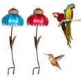 Bird Feeder Garden Decoration for Bird Watching Bird Lovers Hummingbird ...