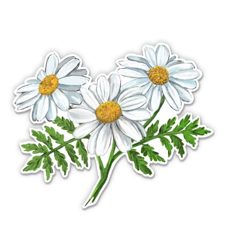 Pretty Wild Daisies - 3" Vinyl Sticker - For Car Laptop Water Bottle ...