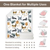 Colorful Cat Fleece Throw Blanket for Couch Chair Fuzzy Kitten Print ...