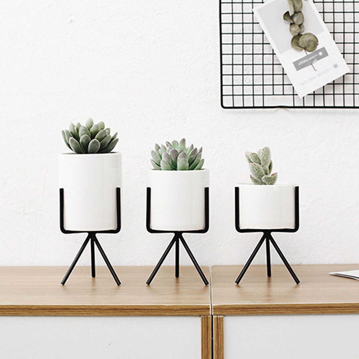 Ceramic Plant Pot Metal Rack Flower Vase Succulent Display Hydrophyte ...