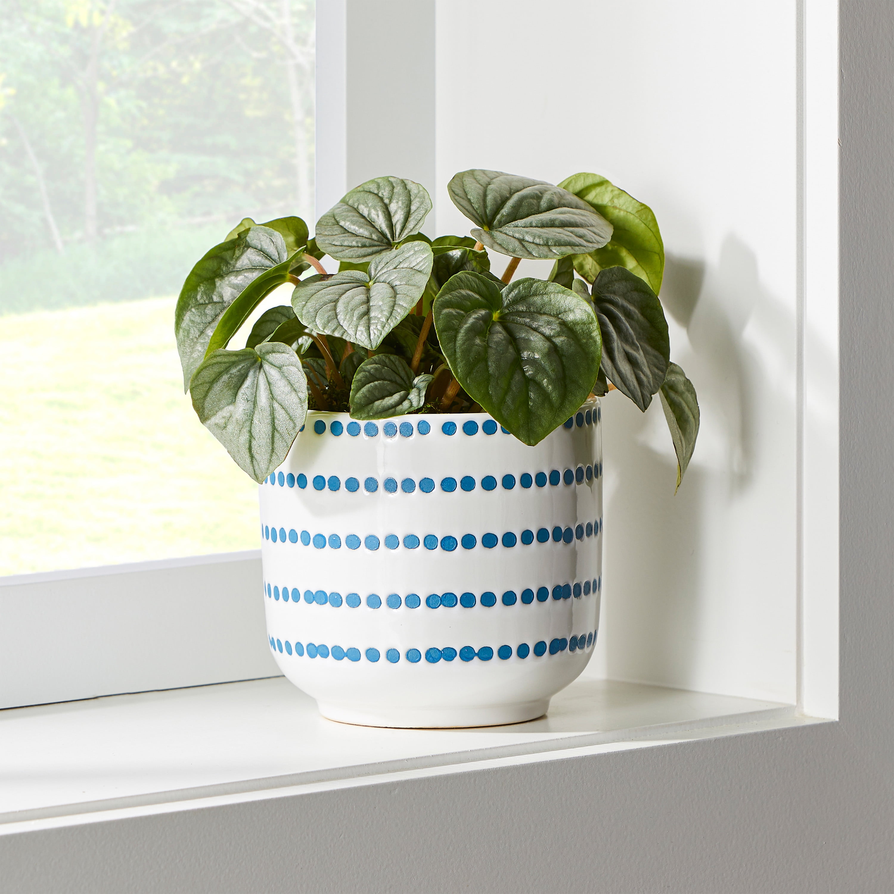 Better Homes and Gardens Blue Dot Ceramic Hazel Planter, 5.1" L x 5.1 ...