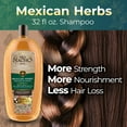 Tio Nacho Mexican Herbs Shampoo, Strengthening, Anti Hair Loss & Anti ...