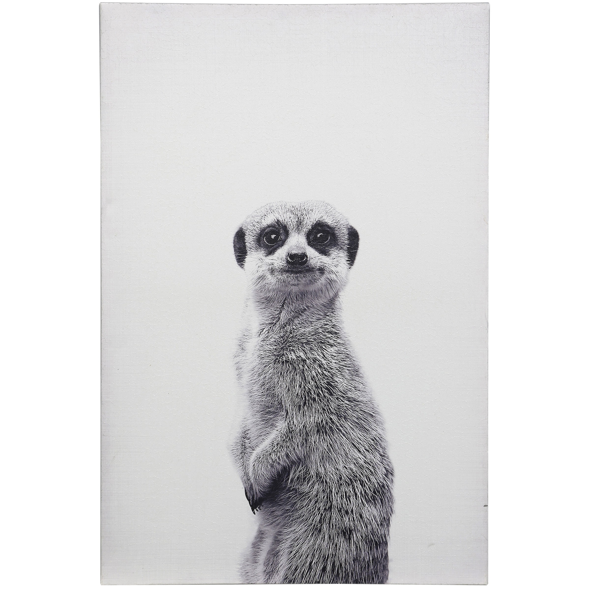 Color Photography Meerkat Portrait Fine Art Photography Animal Print ...