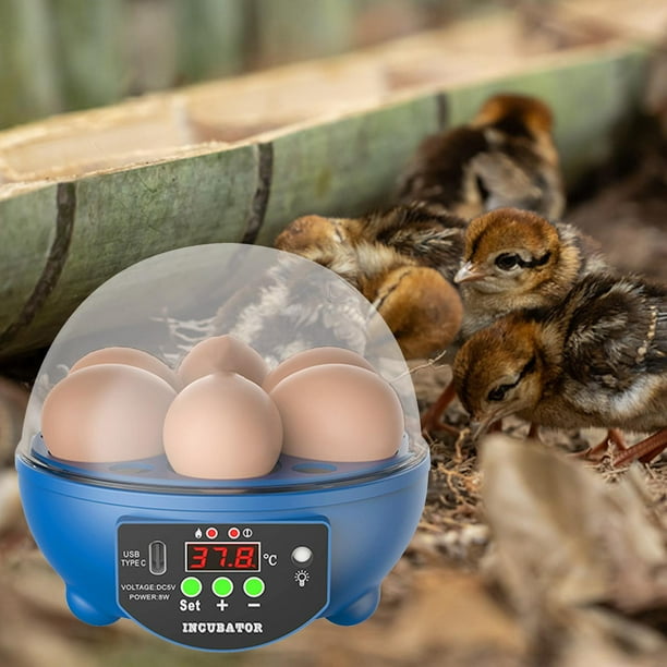 USB 6 Eggs Incubator Automatic Egg Turner er Machine for Birds Duck ...