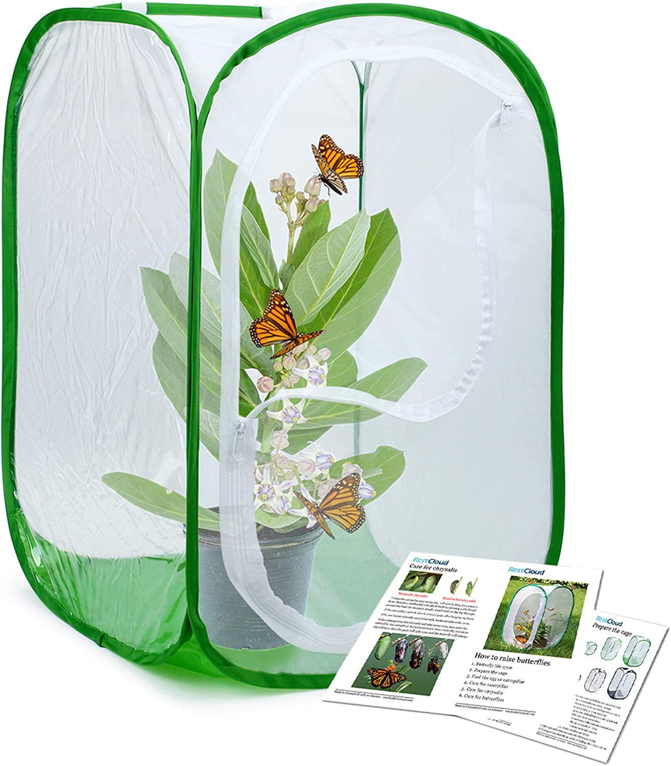 Cherryhome Professional Butterfly Habitat Insect Cage Caterpillar ...