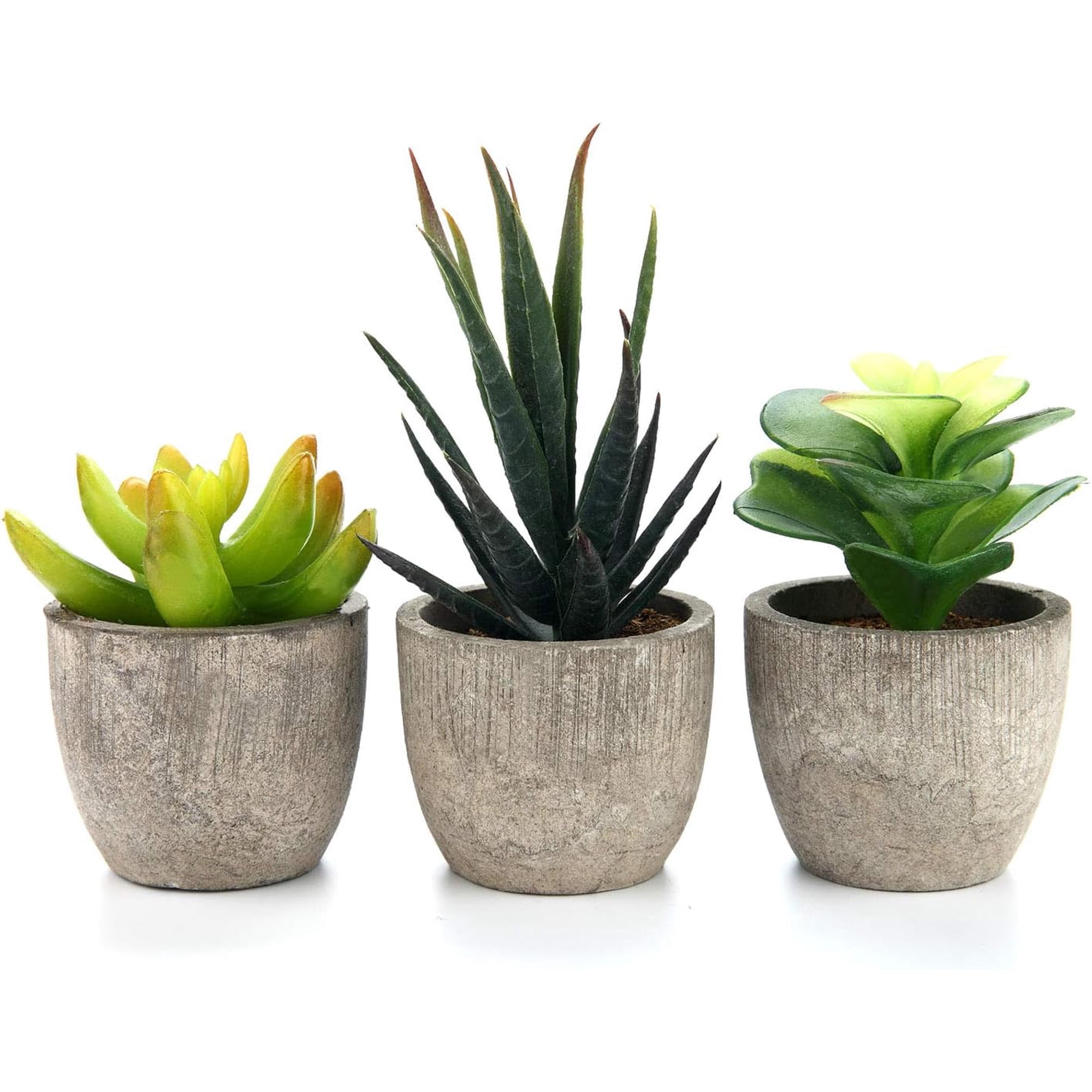 Click here for Dutchman Faux Succulents Artificial  Home And Offi... prices