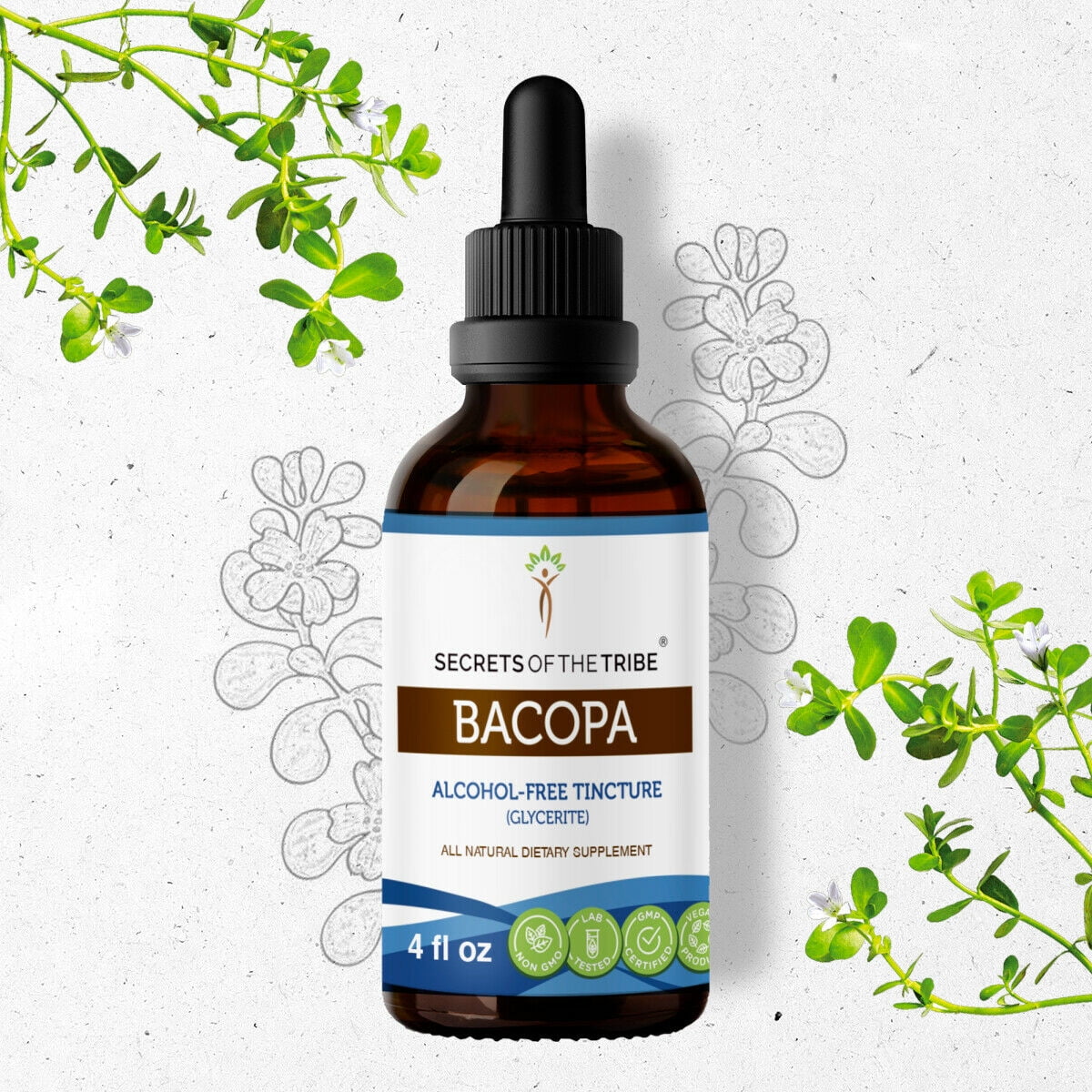 Bacopa Tincture Alcohol-FREE Extract, Organic Bacopa Bacopa Monnieri ...