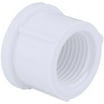 Jones Stephens T35206 T35206 6 Pvc Test Cap - White - Walmart.com