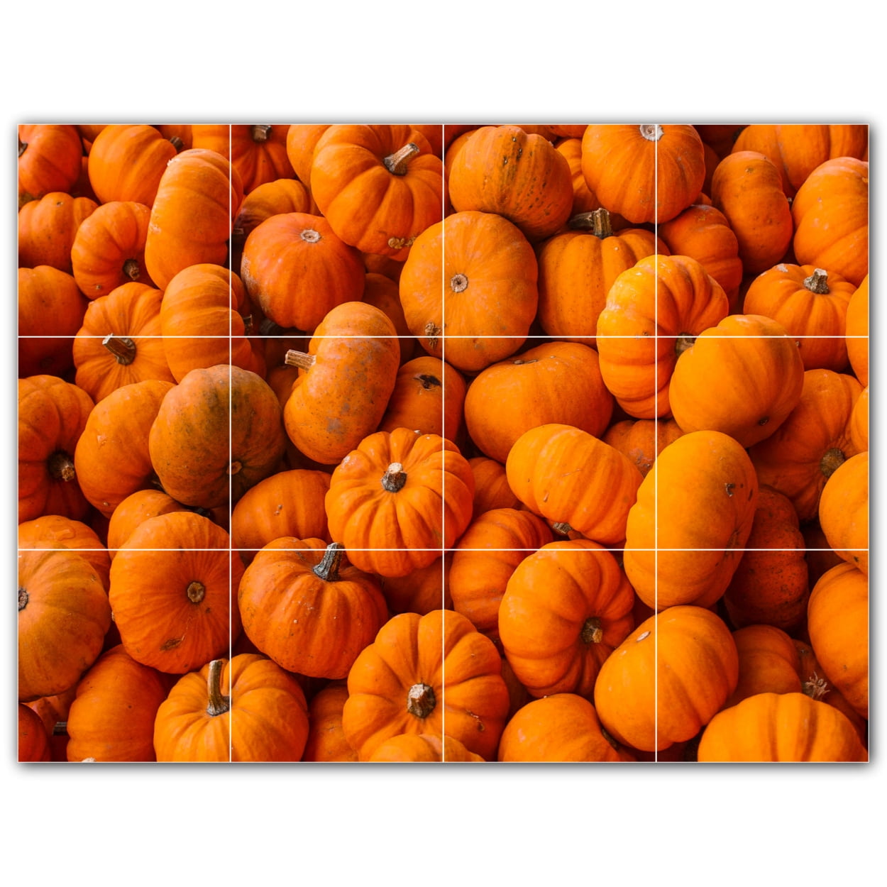 Picture-Tiles.com: Fruit Ceramic Tile Wall Mural WAL500674-43L. 32"W x ...